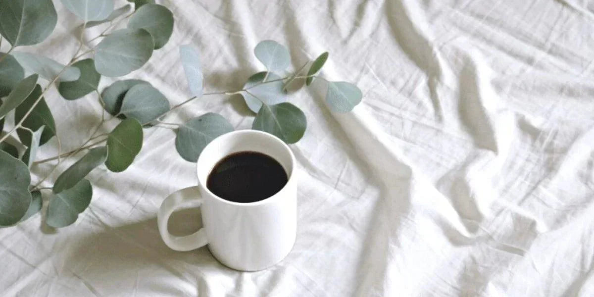 Tired after breakfast? 5 Fixes for the Mid-Morning Crash | Blog ...